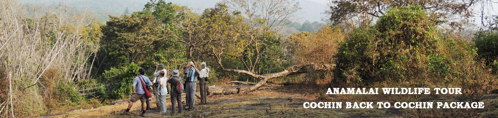 Topslip Anamalai Tiger Reserve | Kerala Geographic Adventures