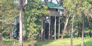 Tree House in Chinnar| Kerala Geographic Adventures