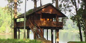 Tree House in Chinnar| Kerala Geographic Adventures